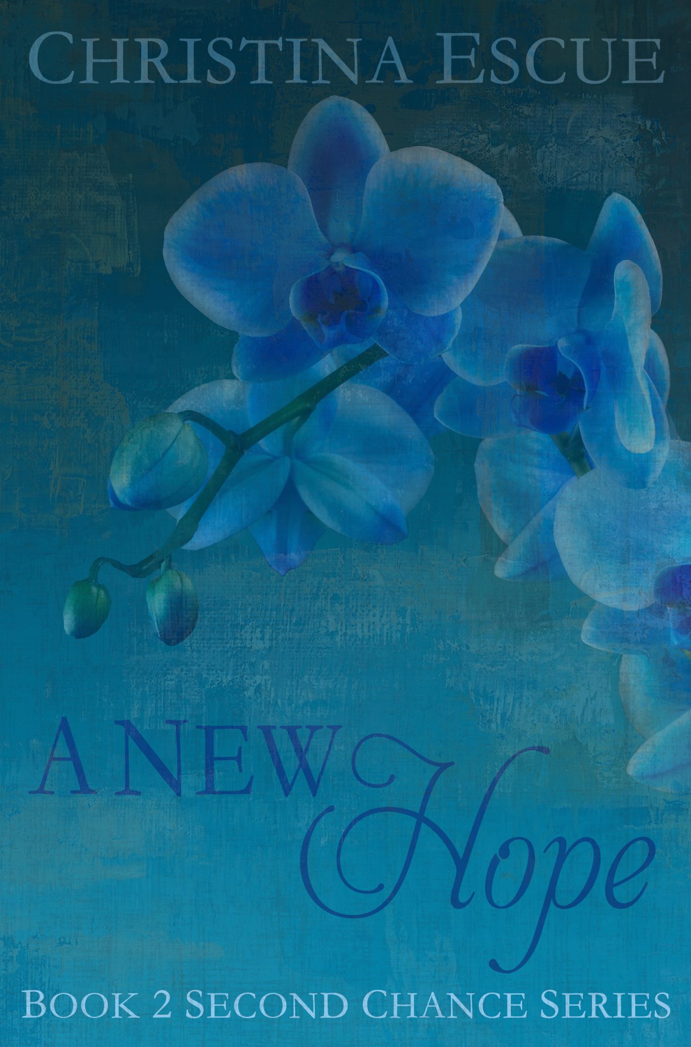 Book Cover Design | CarlaChadwick.com